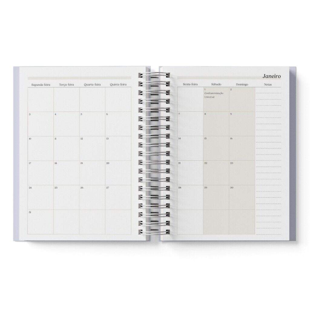 Planner Plus 2026 | Datado - Dani Papeleira